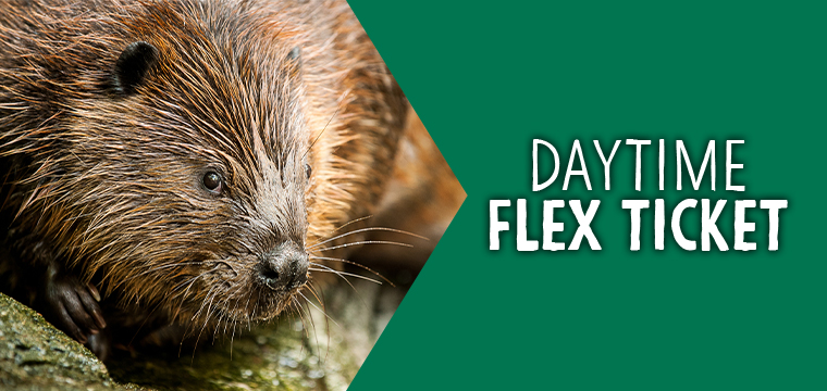 Pittsburgh Zoo & Aquarium