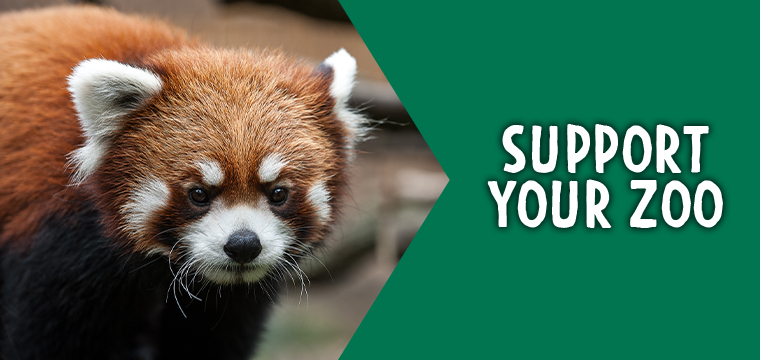 Pittsburgh Zoo & Aquarium