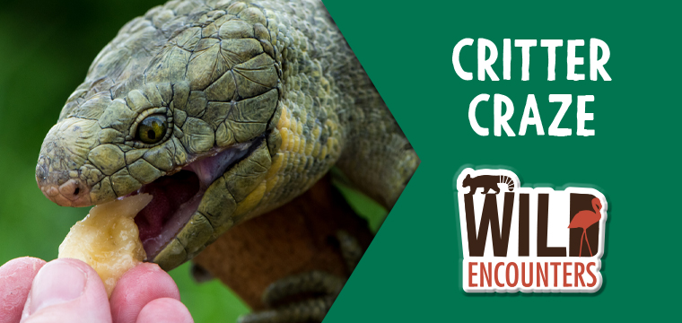 Pittsburgh Zoo & Aquarium